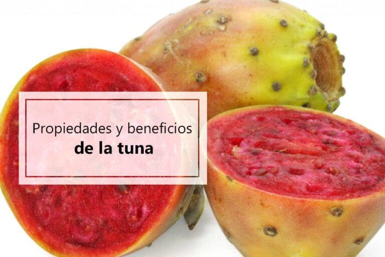 Propiedades y beneficios de la tuna